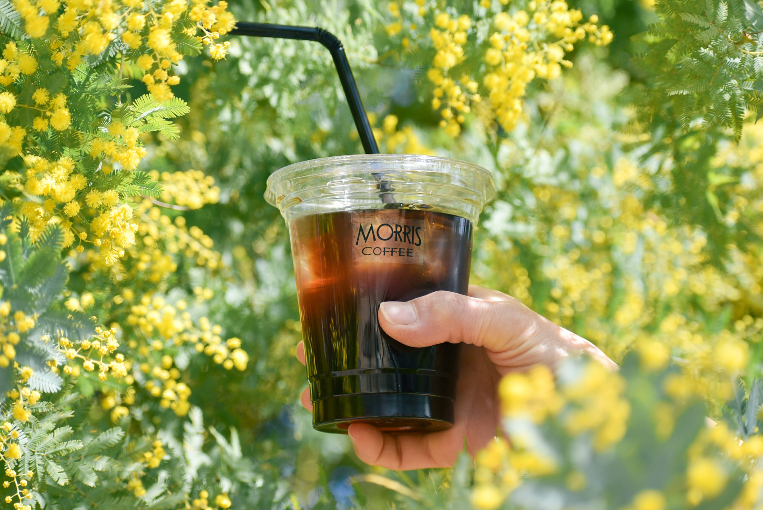 Cafe MORRIS｜自家焙煎コーヒー豆の通販なら